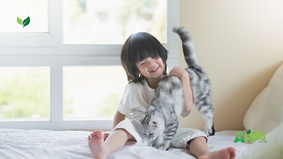 Bahaya Bulu Kucing bagi Kesehatan dan Cara Menghindarinya – APJIKI